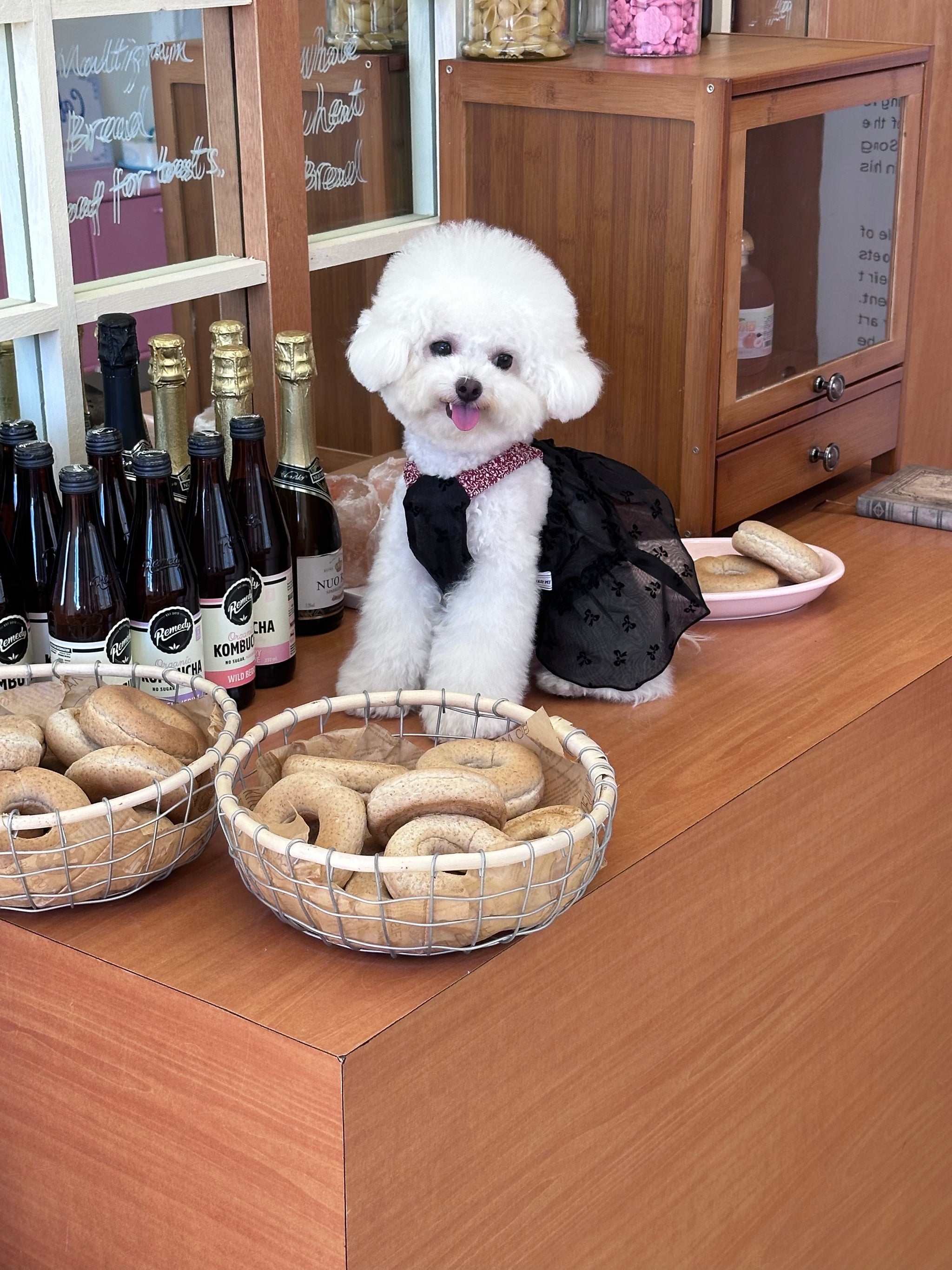 Dolly pet summer lace dress